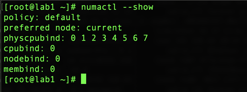 Assign a process to a specific CPU in a NUMA node – Blog by Jay ...
